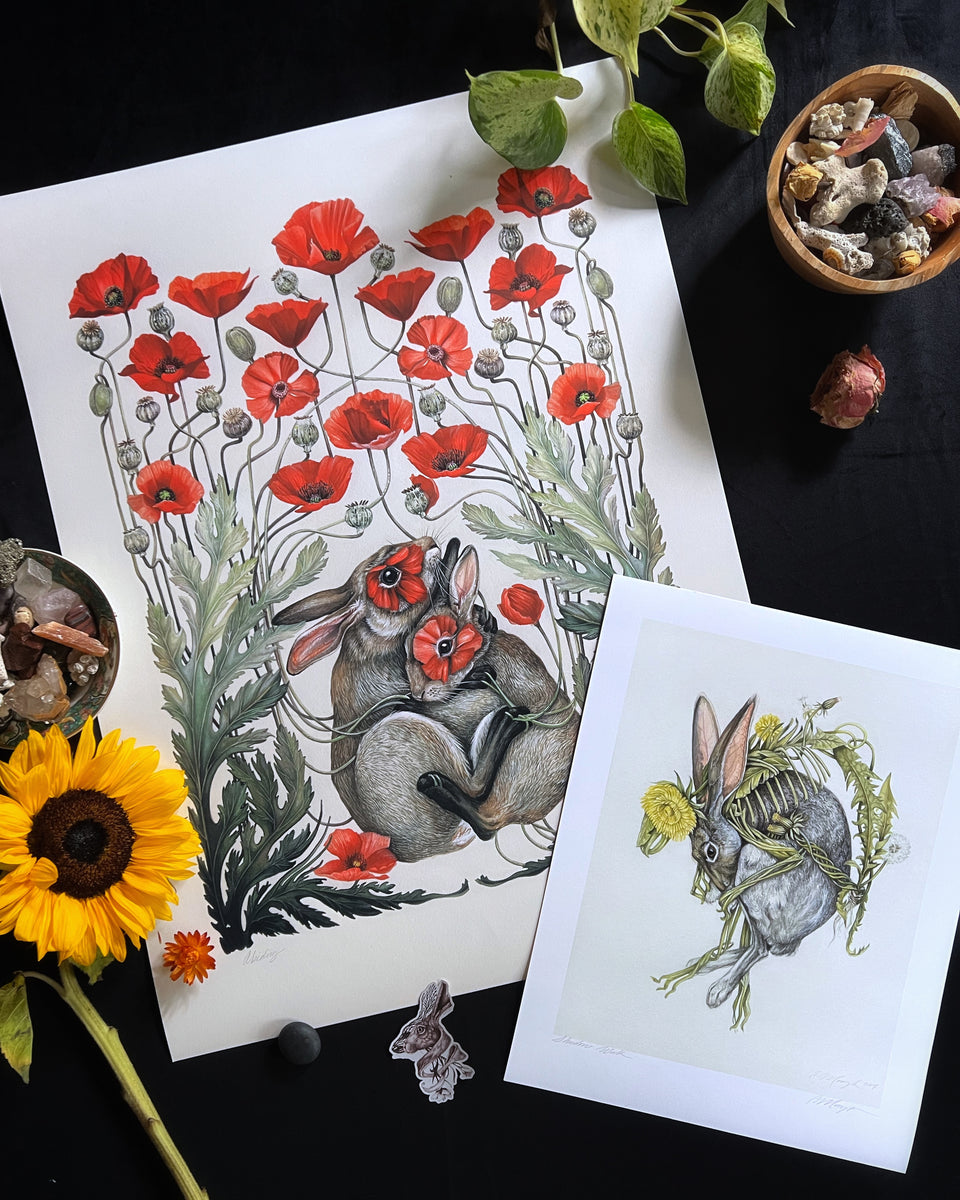 A Warren of Rabbits Gift Set – Christina Mrozik