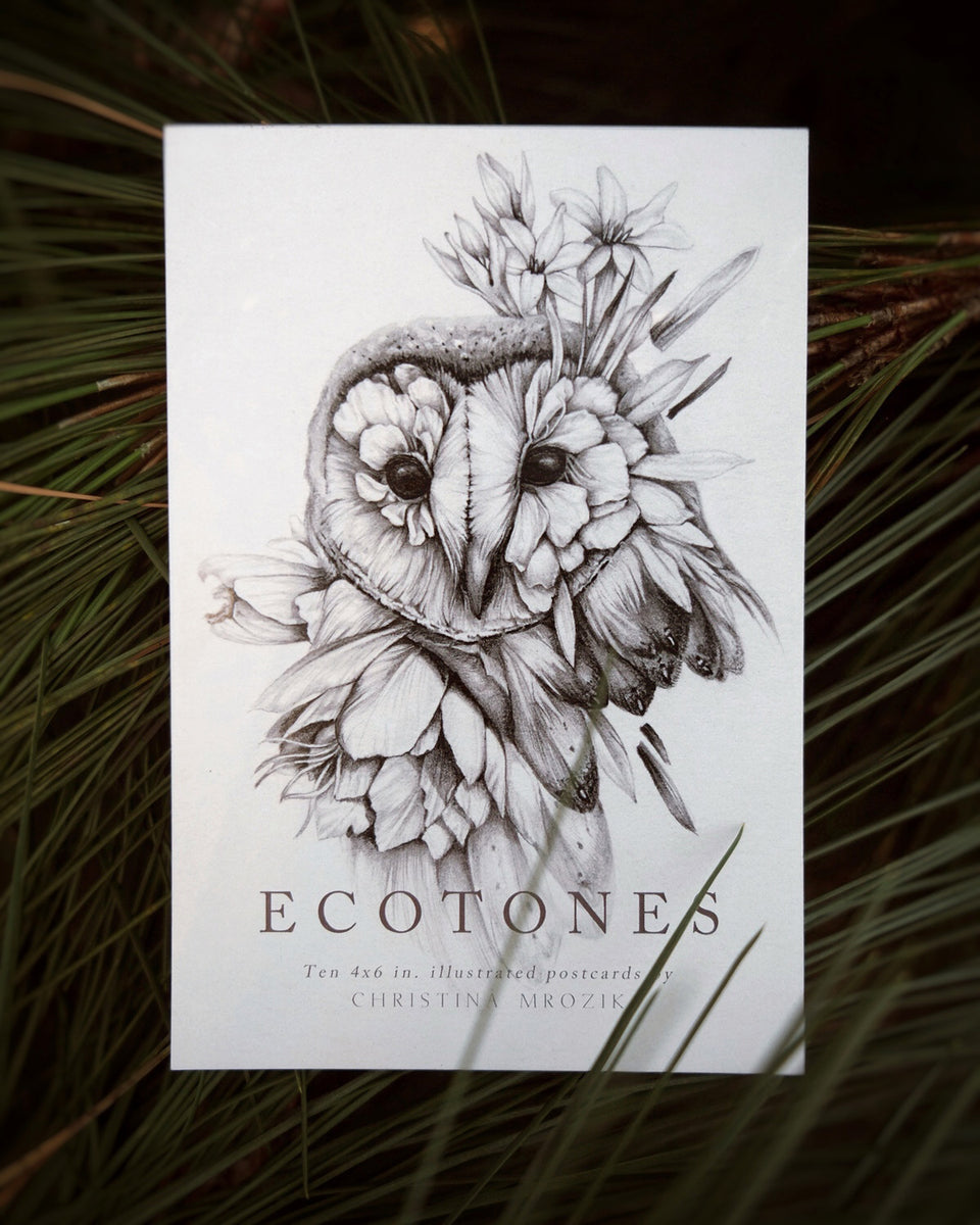 Ecotones - 10 Card Postcard Book – Christina Mrozik